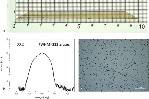 Growth of bulk GaN crystals | Journal of Applied Physics | AIP Publishing