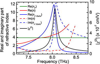 The possibility of difference frequency generation in the GaAs phonon ...