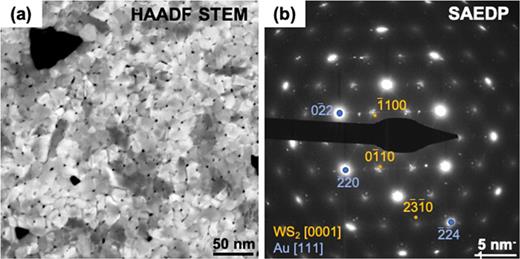Reactivity of contact metals on monolayer WS2 | Journal of Applied ...