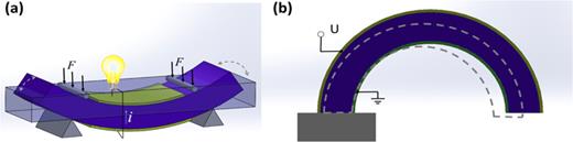 The impact of flexoelectricity on materials, devices, and physics ...