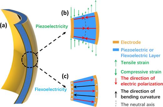 The impact of flexoelectricity on materials, devices, and physics ...