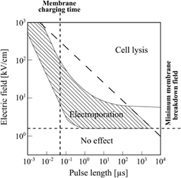 Resistor–capacitor modeling of the cell membrane: A multiphysics ...