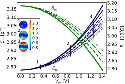 Resistor–capacitor modeling of the cell membrane: A multiphysics ...