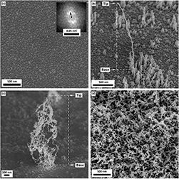 Crystallographic analysis of nano-tendril bundle vs fuzz growth on ...