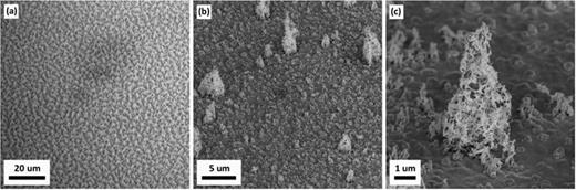 Crystallographic analysis of nano-tendril bundle vs fuzz growth on ...