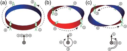 Topological magnonics | Journal of Applied Physics | AIP Publishing