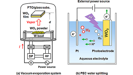 Crystal facet engineering for production of TiO2/WO3 photoelectrodes ...