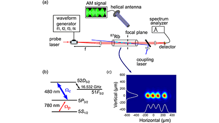 Data capacity scaling of a distributed Rydberg atomic receiver array ...