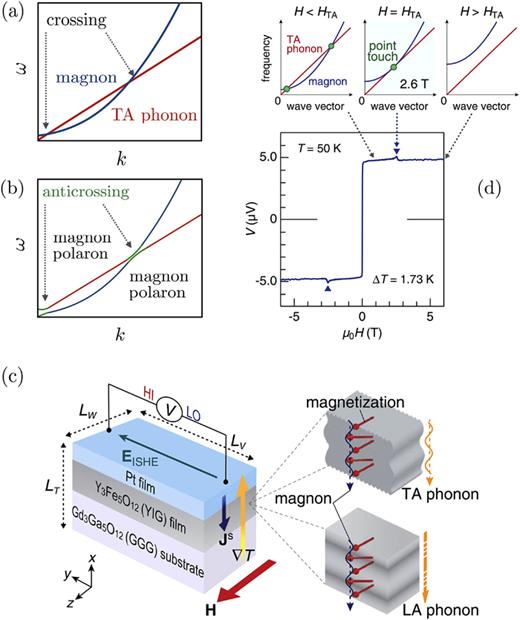 Magnonics in collinear magnetic insulating systems | Journal of Applied ...