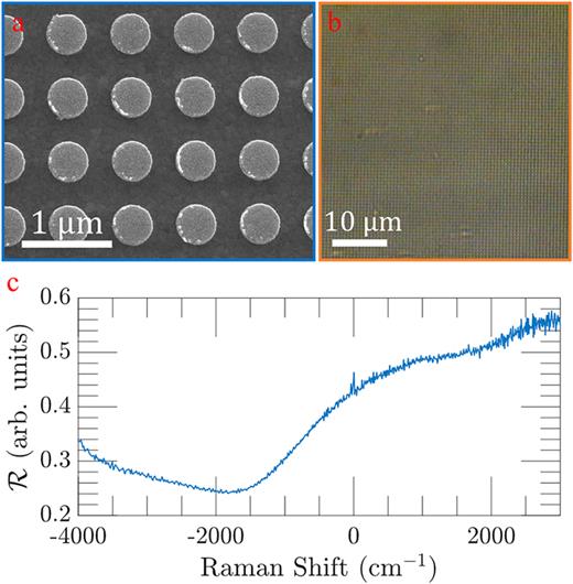 The connection between plasmon decay dynamics and the surface enhanced ...