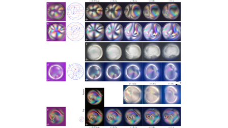 Liquid crystal elastomer shells with topological defect-defined actuation: Complex shape ...