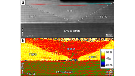 Coexisting morphotropic phase boundary and giant strain gradient in ...
