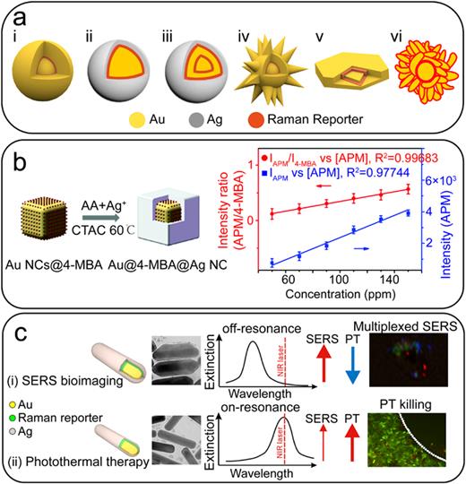 Surface-enhanced Raman scattering nanotags for bioimaging | Journal of ...