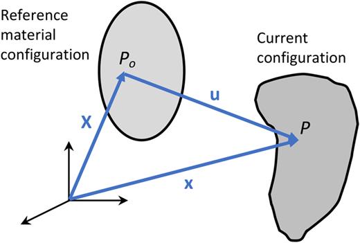 Nonlinear ultrasonic guided waves—Principles for nondestructive ...