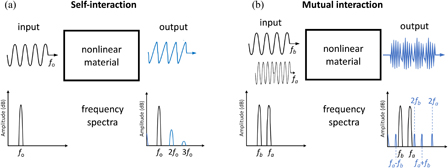 Nonlinear ultrasonic guided waves—Principles for nondestructive evaluation | Journal of Applied ...
