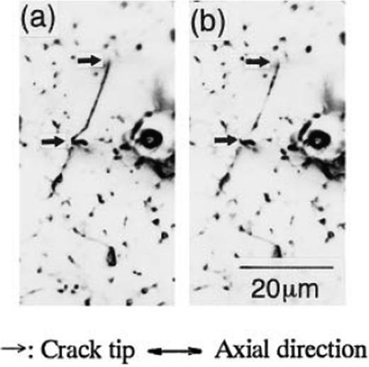 Nonlinear ultrasonic guided waves—Principles for nondestructive ...