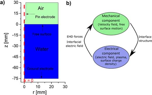 Electromechanical coupling mechanisms at a plasma–liquid interface ...