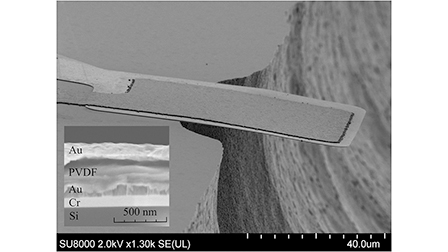 α-phase PVDF MEMS cantilever excited by electrostriction and evaluated ...