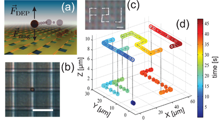 Volume 129 Issue 21 | Journal of Applied Physics | AIP Publishing