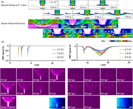 The essential role of the plasma sheath in plasma–liquid interaction ...