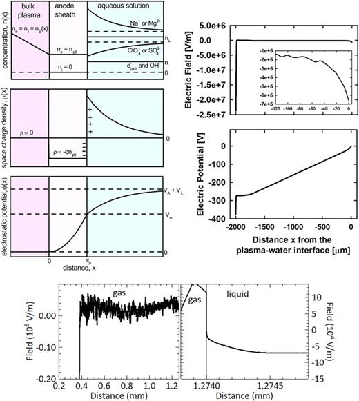 The essential role of the plasma sheath in plasma–liquid interaction ...