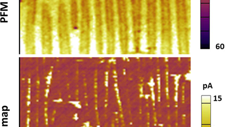 Domains and domain walls in ferroic materials | Journal of Applied ...