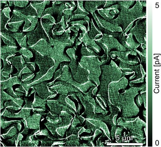 Domains and domain walls in ferroic materials | Journal of Applied ...