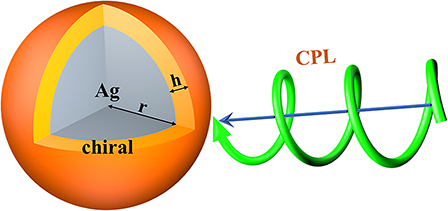 Plasmon–exciton coupling between plasmons and chiral molecules in core–shell structure under ...