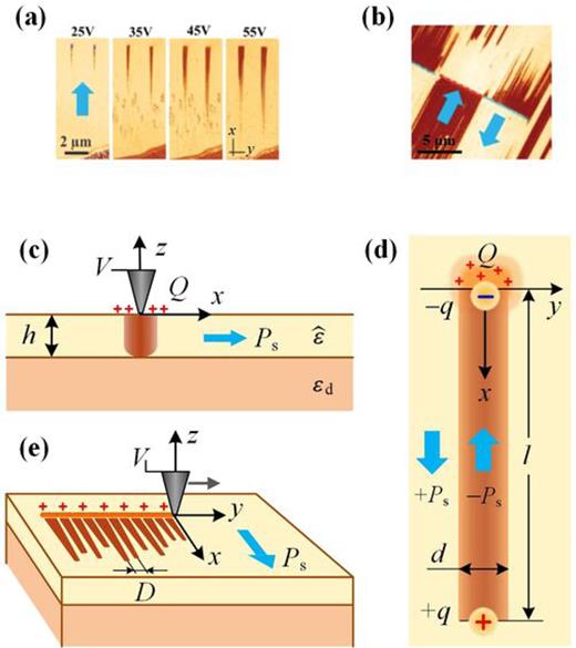 Tip-induced domain protrusion in ferroelectric films with in-plane ...