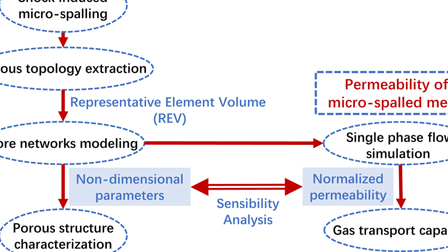 Study of porous structure and gas permeation properties of micro ...