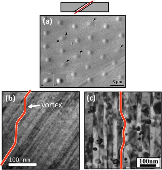 Challenges and transformative opportunities in superconductor vortex ...