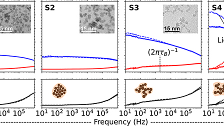 Effective Néel relaxation time constant and intrinsic dipolar magnetism ...