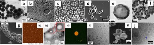 Nanoemulsion polymerization and templating: Potentials and perspectives ...