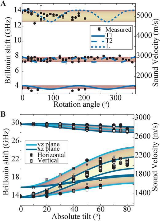 Acoustic phonons and elastic stiffnesses from Brillouin scattering of ...