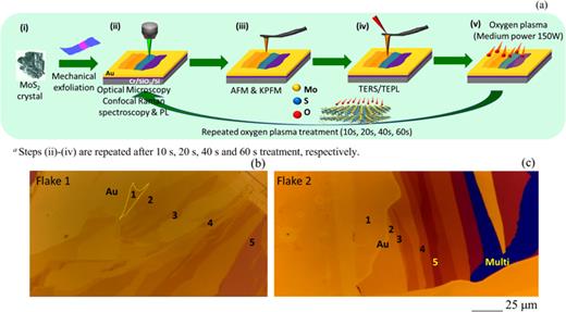 Correlated KPFM and TERS imaging to elucidate defect-induced ...