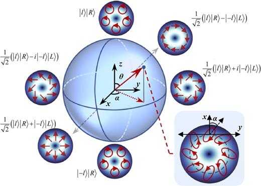 Vector optical field manipulation via structural functional materials ...