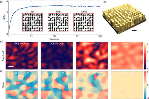Vector optical field manipulation via structural functional materials ...