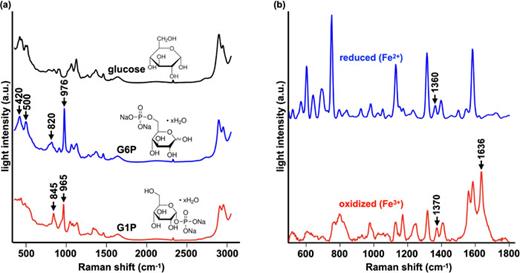 Slit-scanning Raman microscopy: Instrumentation and applications for ...