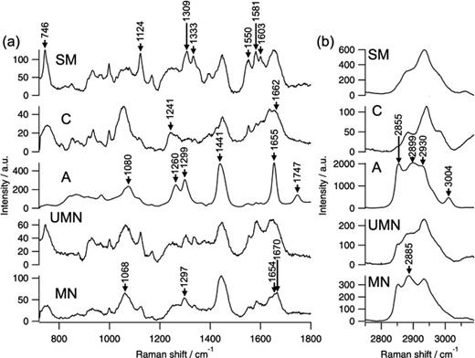 Slit-scanning Raman microscopy: Instrumentation and applications for ...