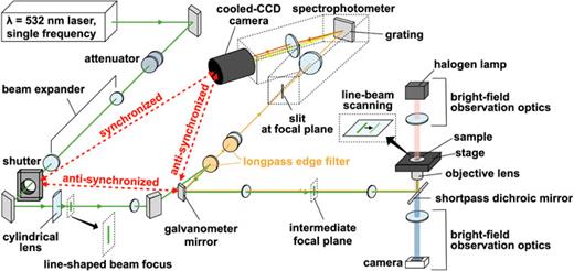 Slit-scanning Raman microscopy: Instrumentation and applications for ...