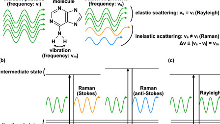 Slit-scanning Raman microscopy: Instrumentation and applications for ...