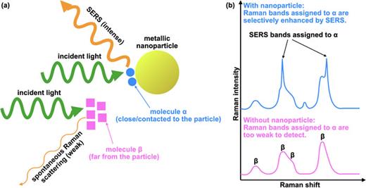 Slit-scanning Raman microscopy: Instrumentation and applications for ...