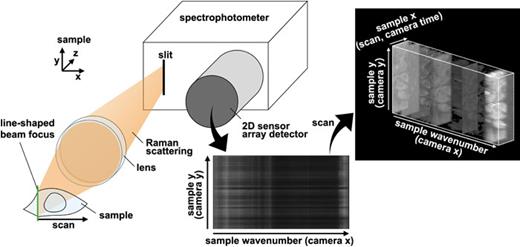 Slit-scanning Raman microscopy: Instrumentation and applications for ...
