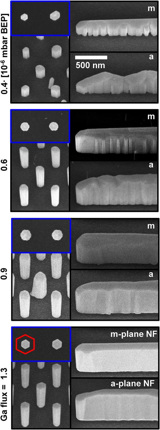 Crystal side facet-tuning of GaN nanowires and nanofins grown by ...