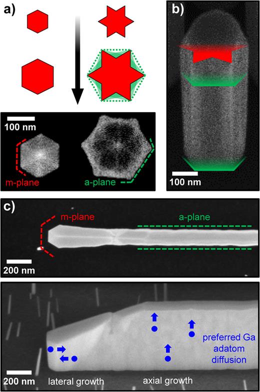 Crystal side facet-tuning of GaN nanowires and nanofins grown by ...