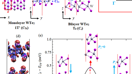 Reversible canted persistent spin textures in two-dimensional ...