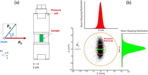 Perspective on muon-spin rotation/relaxation under hydrostatic pressure ...