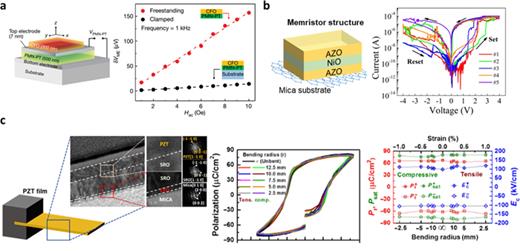 2D materials-assisted heterogeneous integration of semiconductor ...