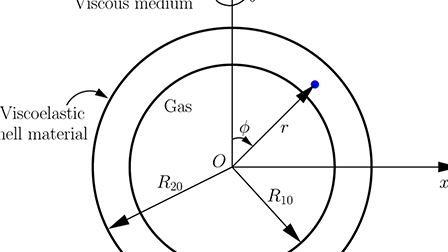 Describing the dynamics of a nonlinear viscoelastic shelled microbubble with an interface energy ...