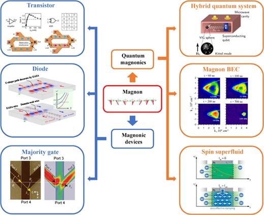 Interaction between magnon and skyrmion: Toward quantum magnonics ...